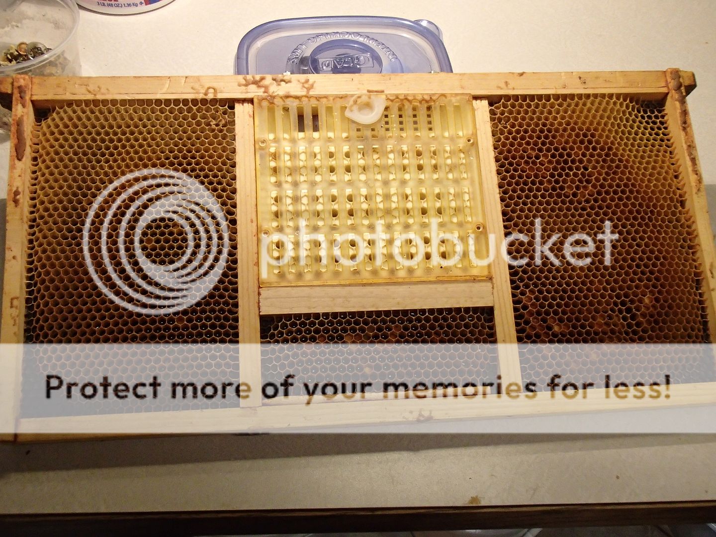 Placement of JZBZ cell cups - How many? What spacing? What position? | Beesource Beekeeping Forums